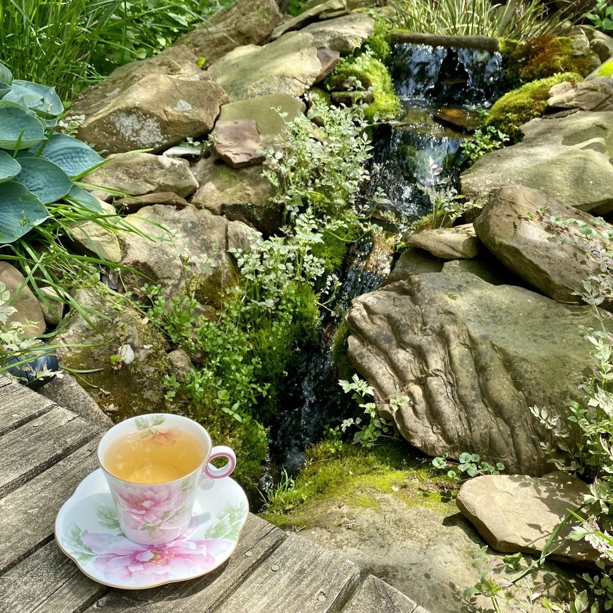 The Traveling Teacup Samples 7 Delightful Teas in 4 Beautiful Days ...