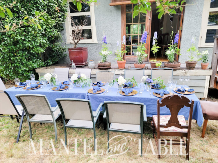 Last Minute Party and a birthday wine tasting - Mantel and Table